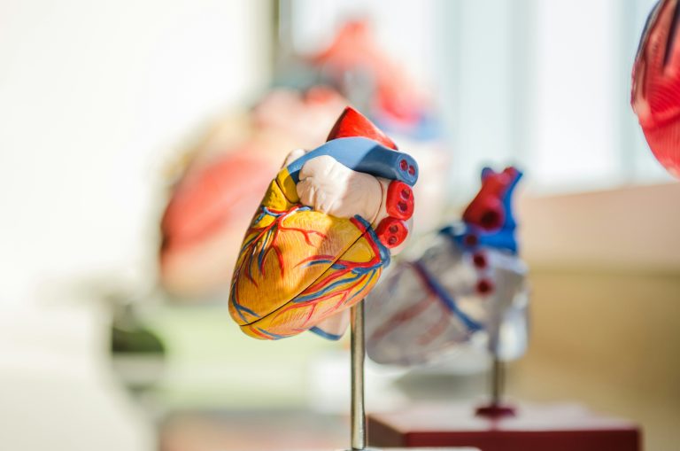 TAVI (Transcatheter Aortic Valve Implantation) Sydney | Specialist ...